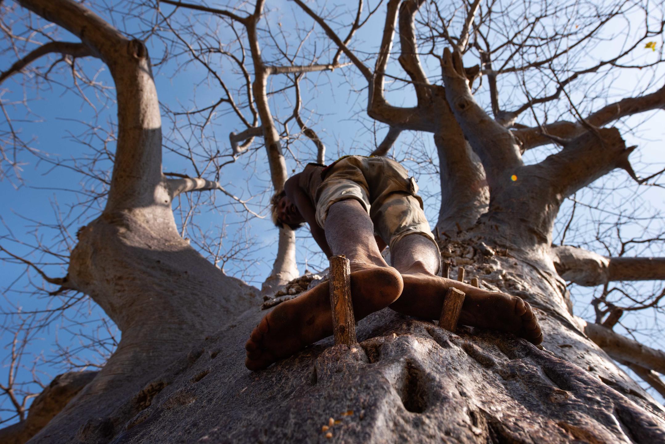 Kisima Ngeda | Lake Eyasi | Kusini Safaris
