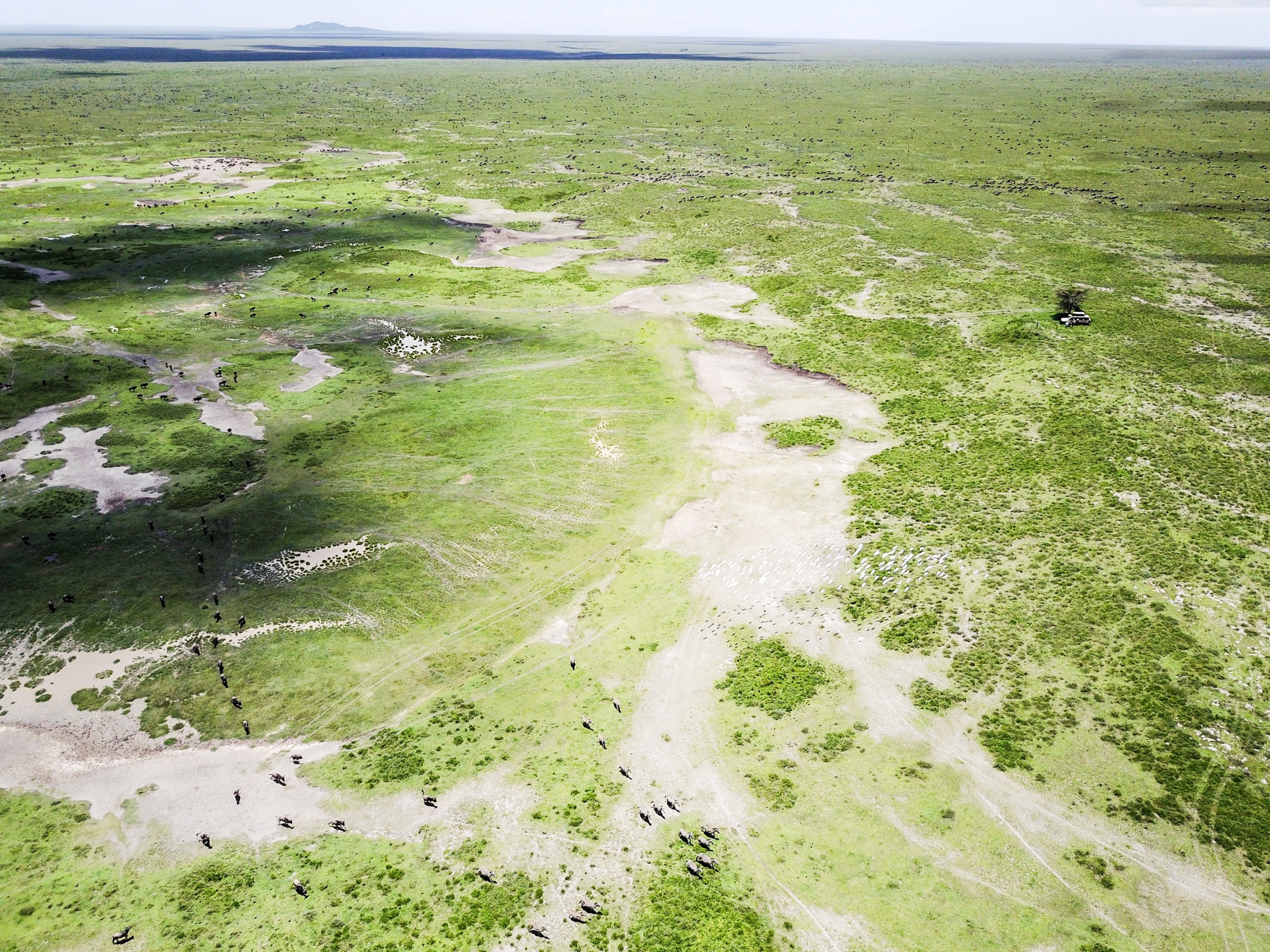 Wayo Africa | Lake Manyara | Serengeti | Walking Safaris